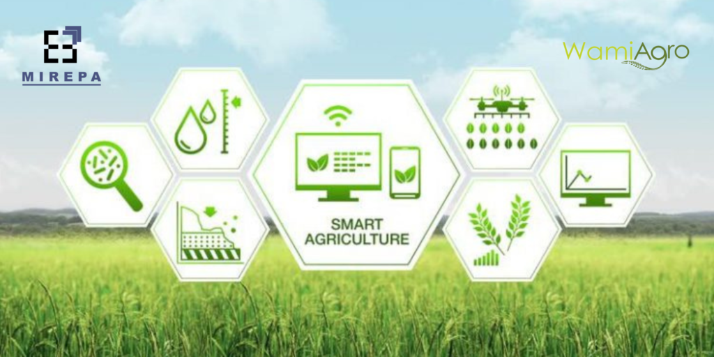 Mirepa Investment Advisors closes an investment with Wami Agro Limited ...